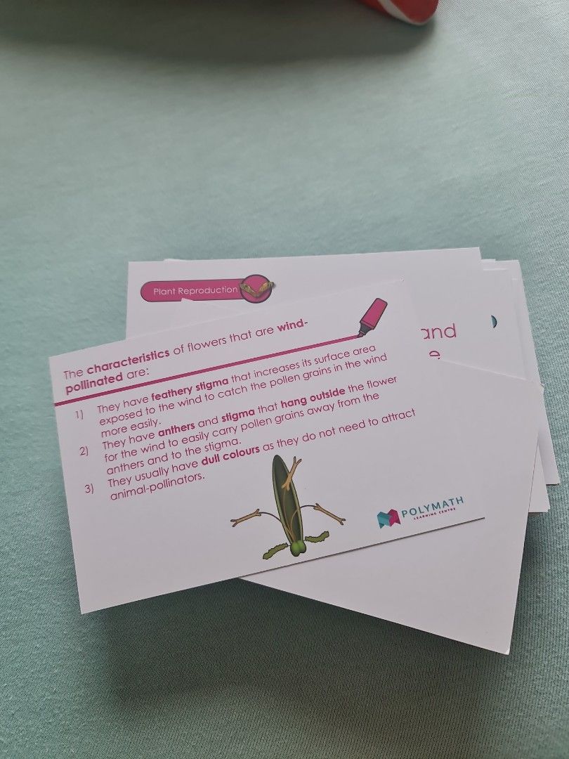 Polymath PSLE Science Flash Cards, Hobbies & Toys, Books & Magazines ...