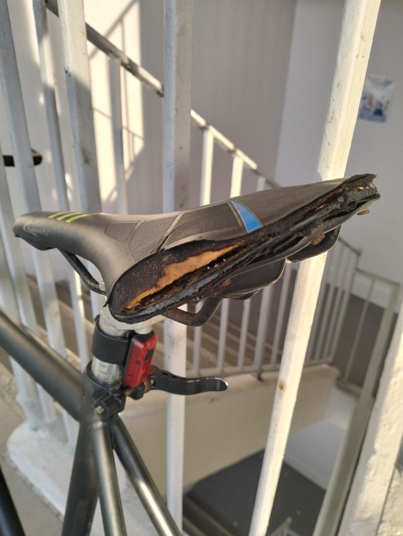 Resprayed Brandless Fixie Frameset, Sports Equipment, Bicycles & Parts ...