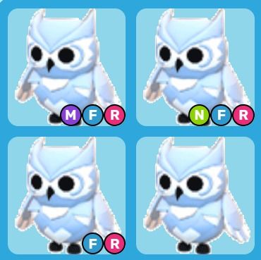Roblox Adopt me Snow Owl (MFR, NFR , Normal , FR), Video Gaming, Gaming ...