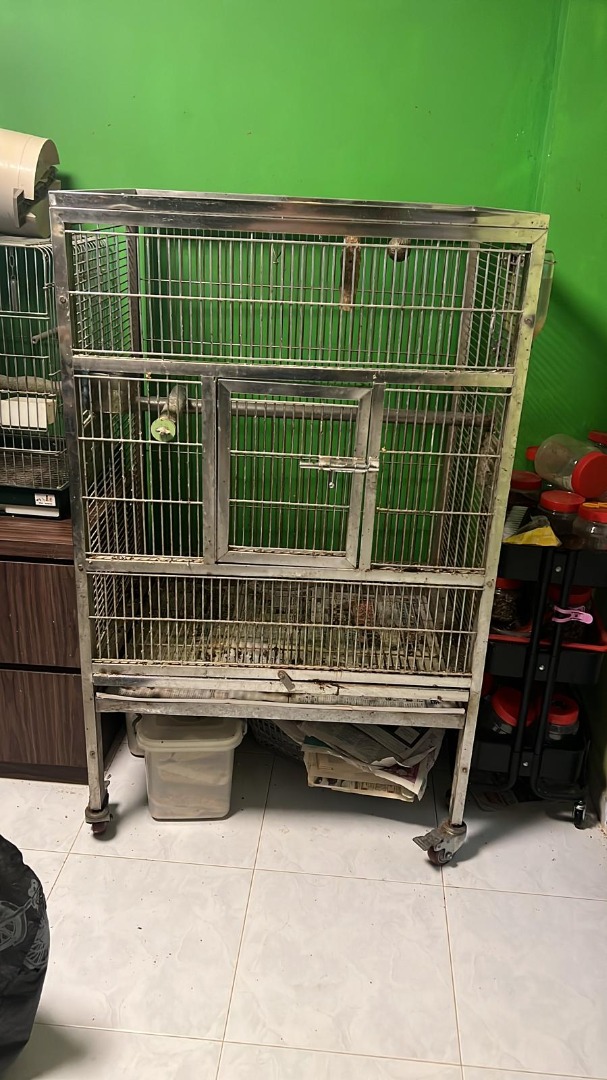 Used Grade 304 Stainless Steel (50Kg) Macaw Cage, Pet Supplies, Homes ...