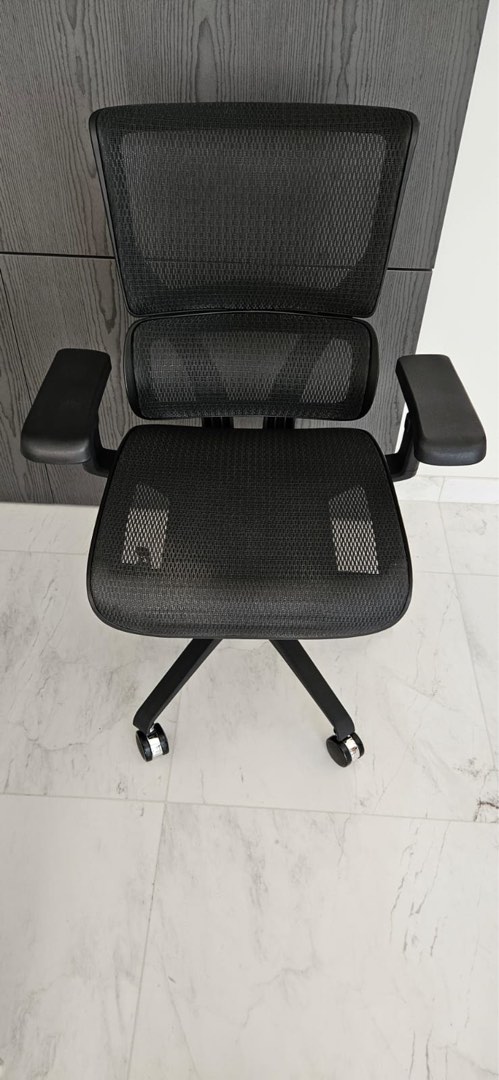 Vision Ergonomic office chair, Furniture & Home Living, Furniture ...