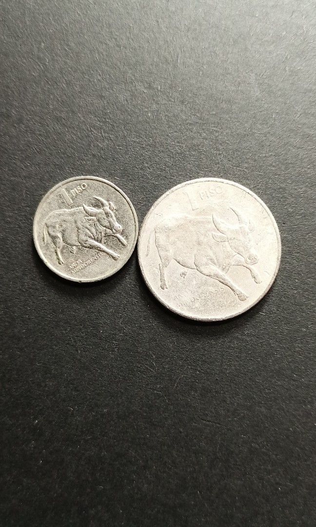 1993 Philippines coins karabaw, Community on Carousell