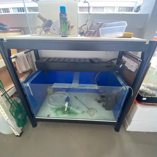5 feet fish tank stand, Pet Supplies, Homes & Other Pet Accessories on ...