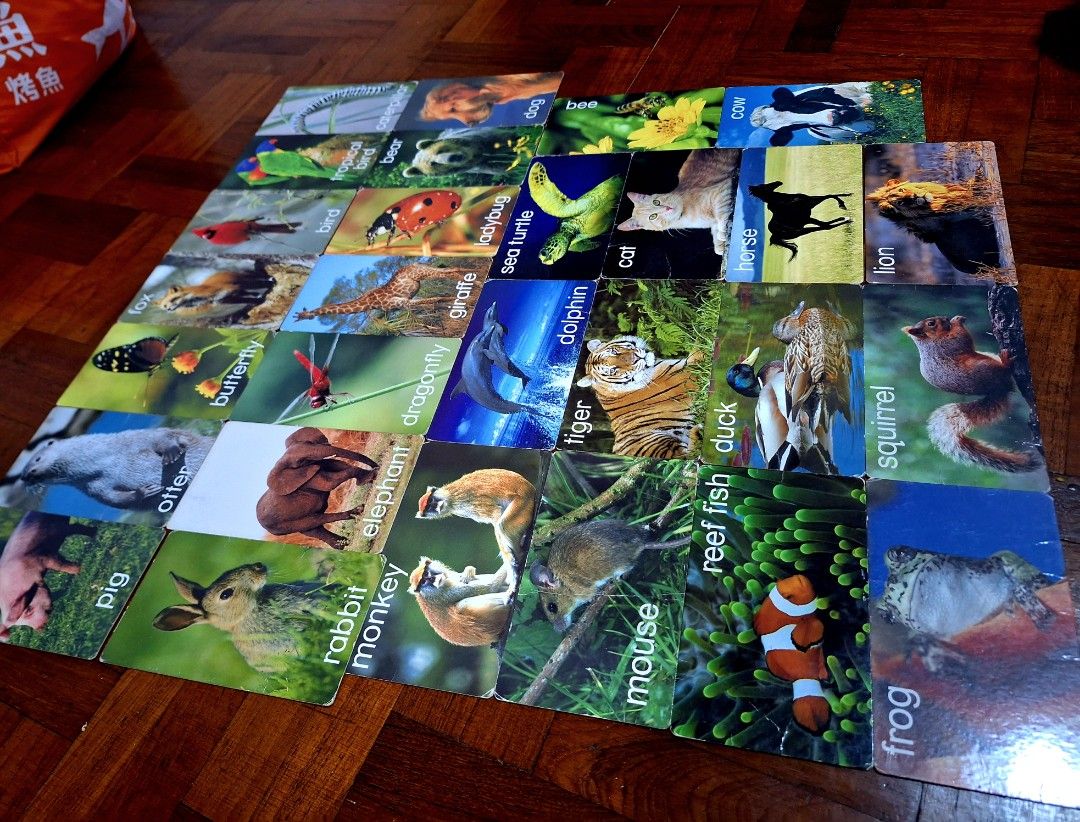 Animal picture cards (sturdy cardstock) with facts on reverse ...