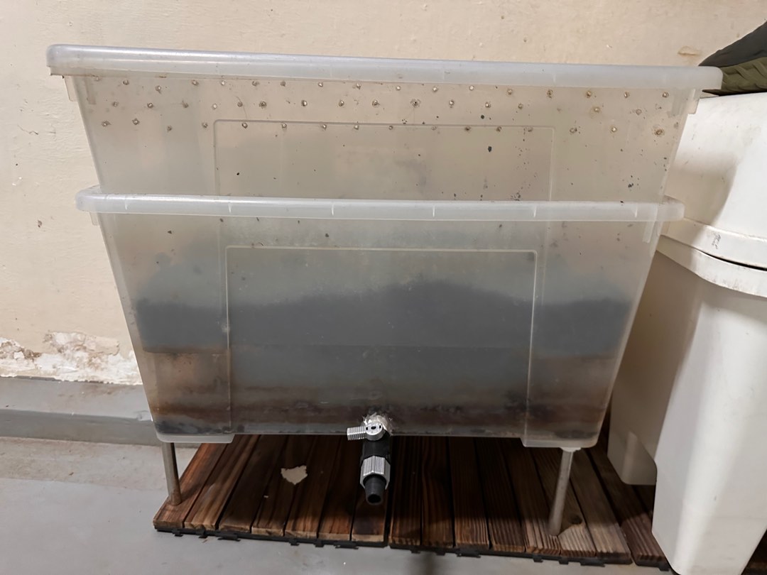 Blue worm compost bin with worm tea tap, Pet Supplies, Homes & Other ...