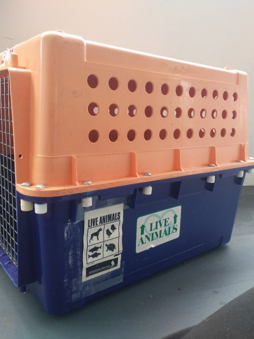 Cats And Dogs Cage, Pet Supplies, Homes & Other Pet Accessories on ...