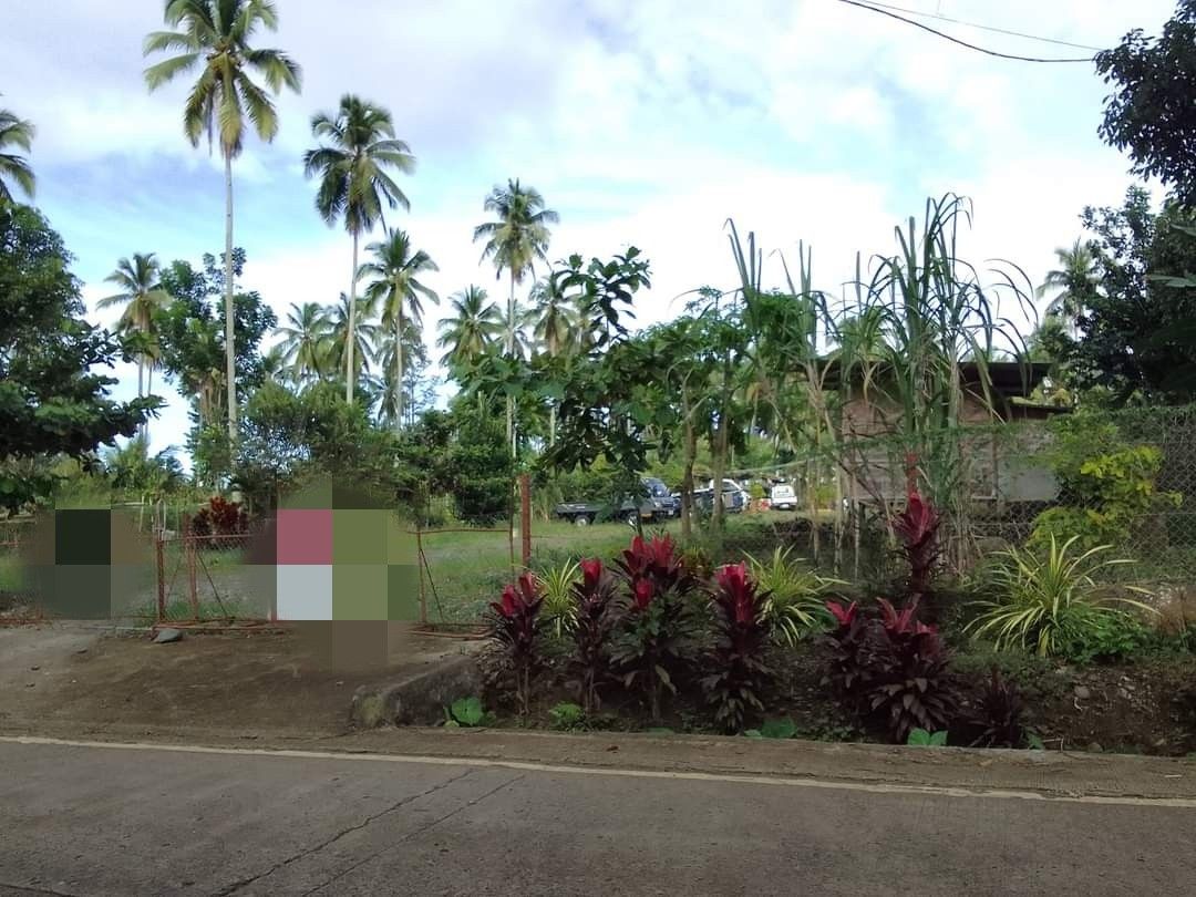 Commercial Lot along Barangay Road in Barangay Gumalang with Small ...