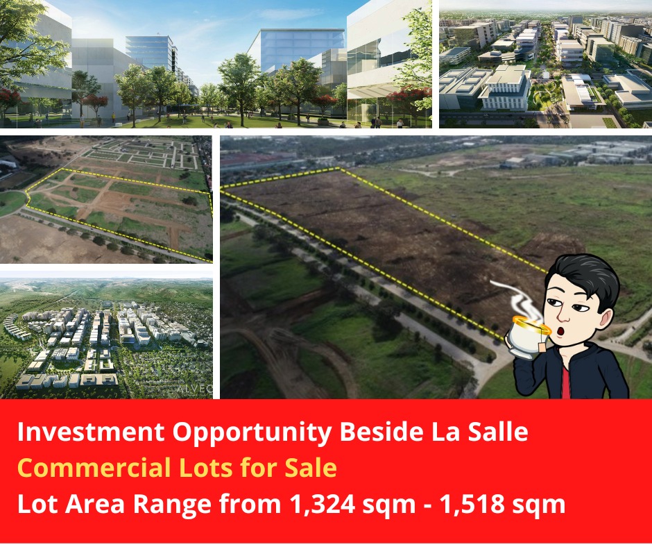 Commercial Lot For Sale along University Drive in Binan near La Salle ...