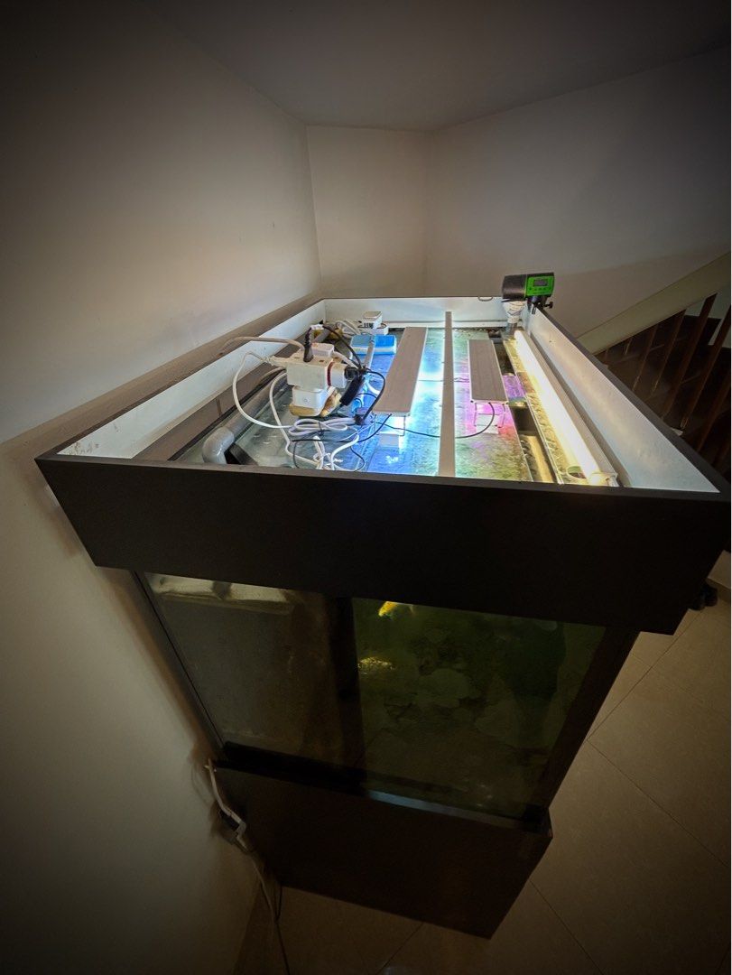 Custom Made 4x2.5x2.5 feet Full Fish Tank set with 3 feet sump tank ...