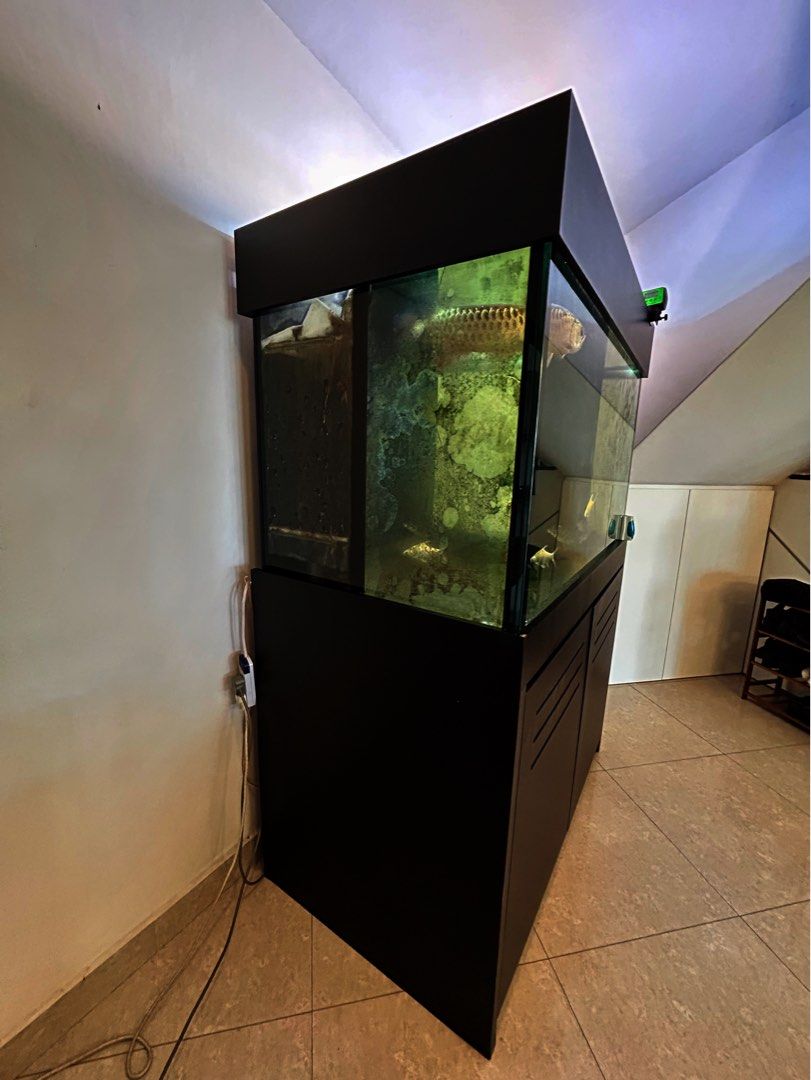 Custom Made 4x2.5x2.5 feet Full Fish Tank set with 3 feet sump tank ...