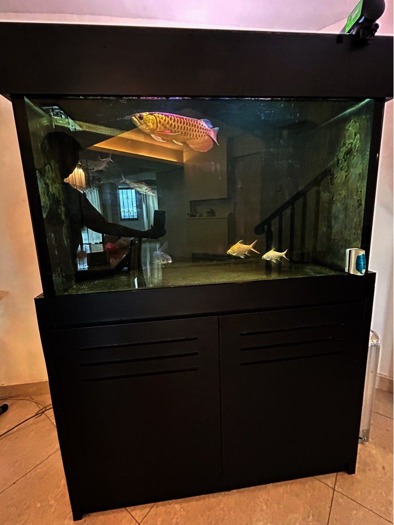 Custom Made 4x2.5x2.5 feet Full Fish Tank set with 3 feet sump tank ...