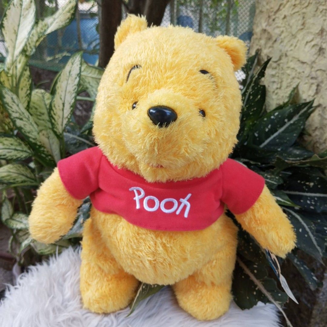 DISNEY Winnie the Pooh Fun Fan Amuse Plush Toy, Hobbies & Toys, Toys ...