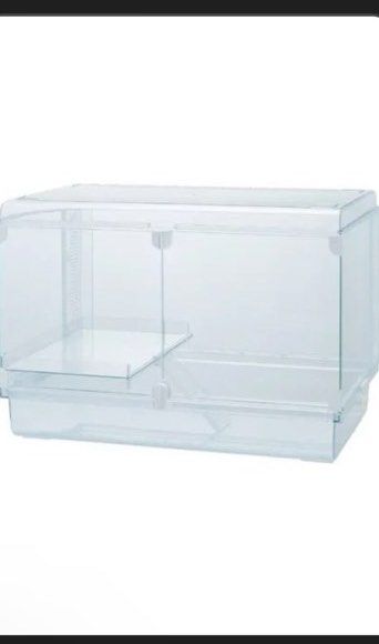 Gex glass hamster cage, Pet Supplies, Homes & Other Pet Accessories on Carousell