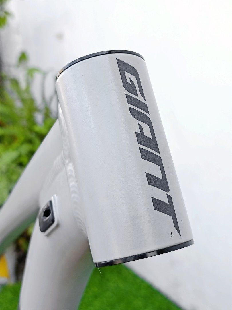 Giant Talon 2 29er Small Frame for Mountain Bike MTB, Sports Equipment ...