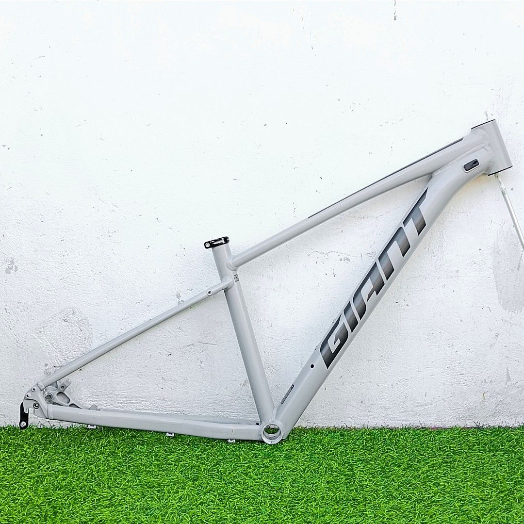 Giant Talon 2 29er Small Frame for Mountain Bike MTB, Sports Equipment ...