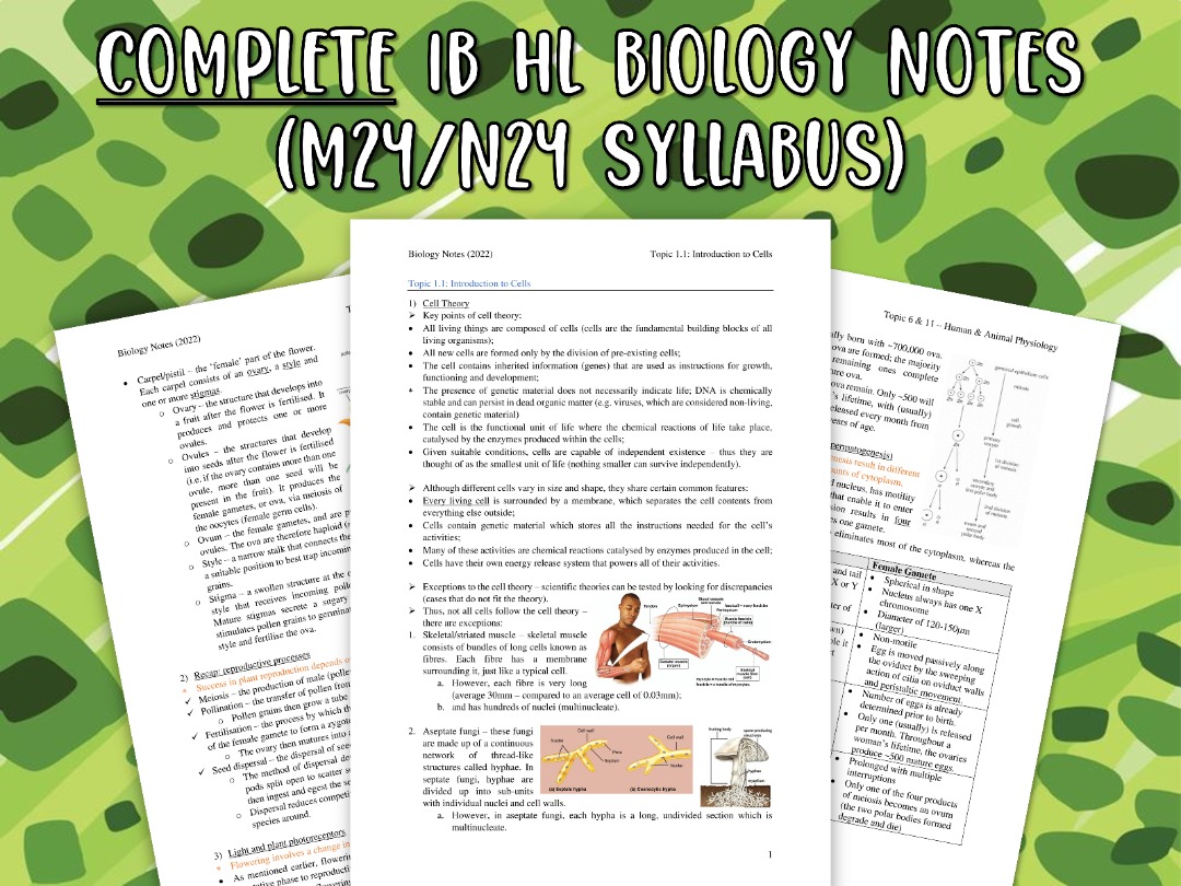 IB HL Biology COMPLETE Notes (M24/N24 Syllabus) [DIGITAL], Hobbies ...