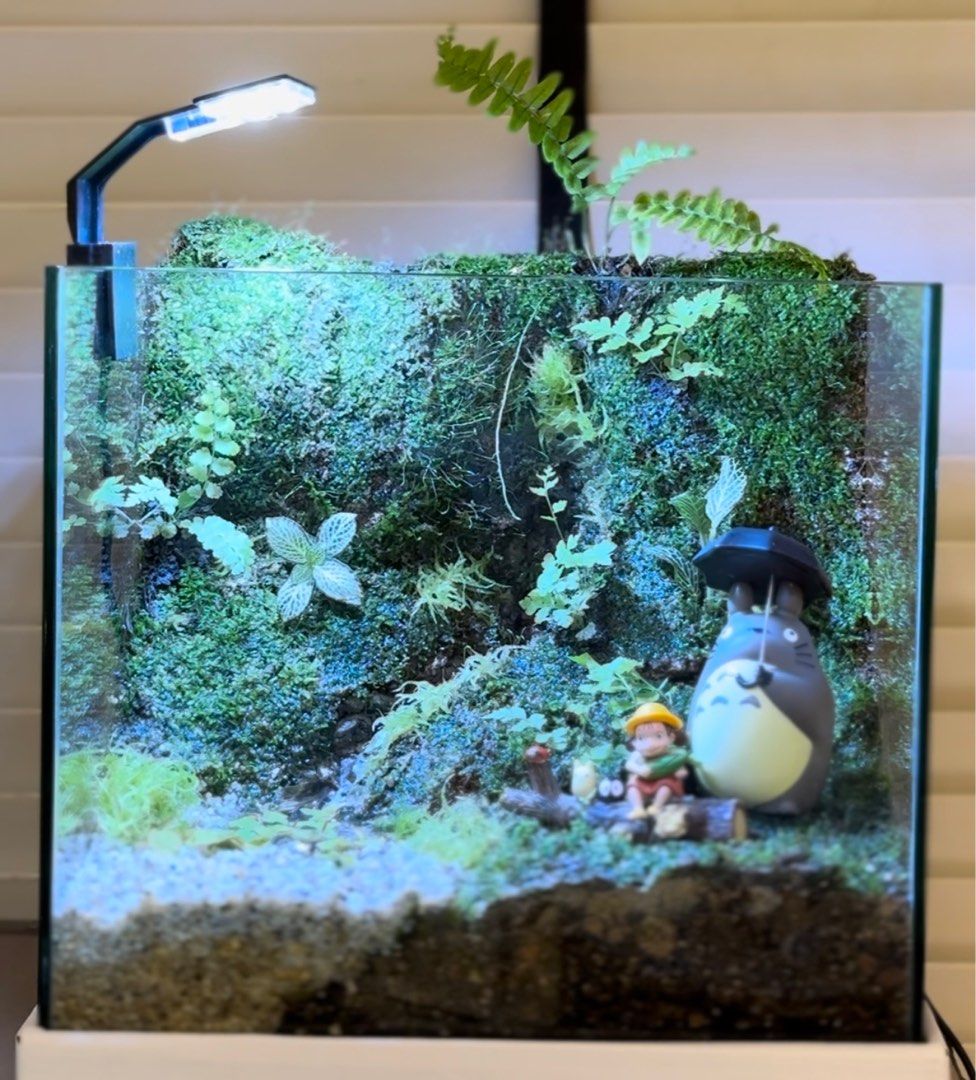 (Make to Order) Terrarium with waterfalls, Pet Supplies, Homes & Other ...