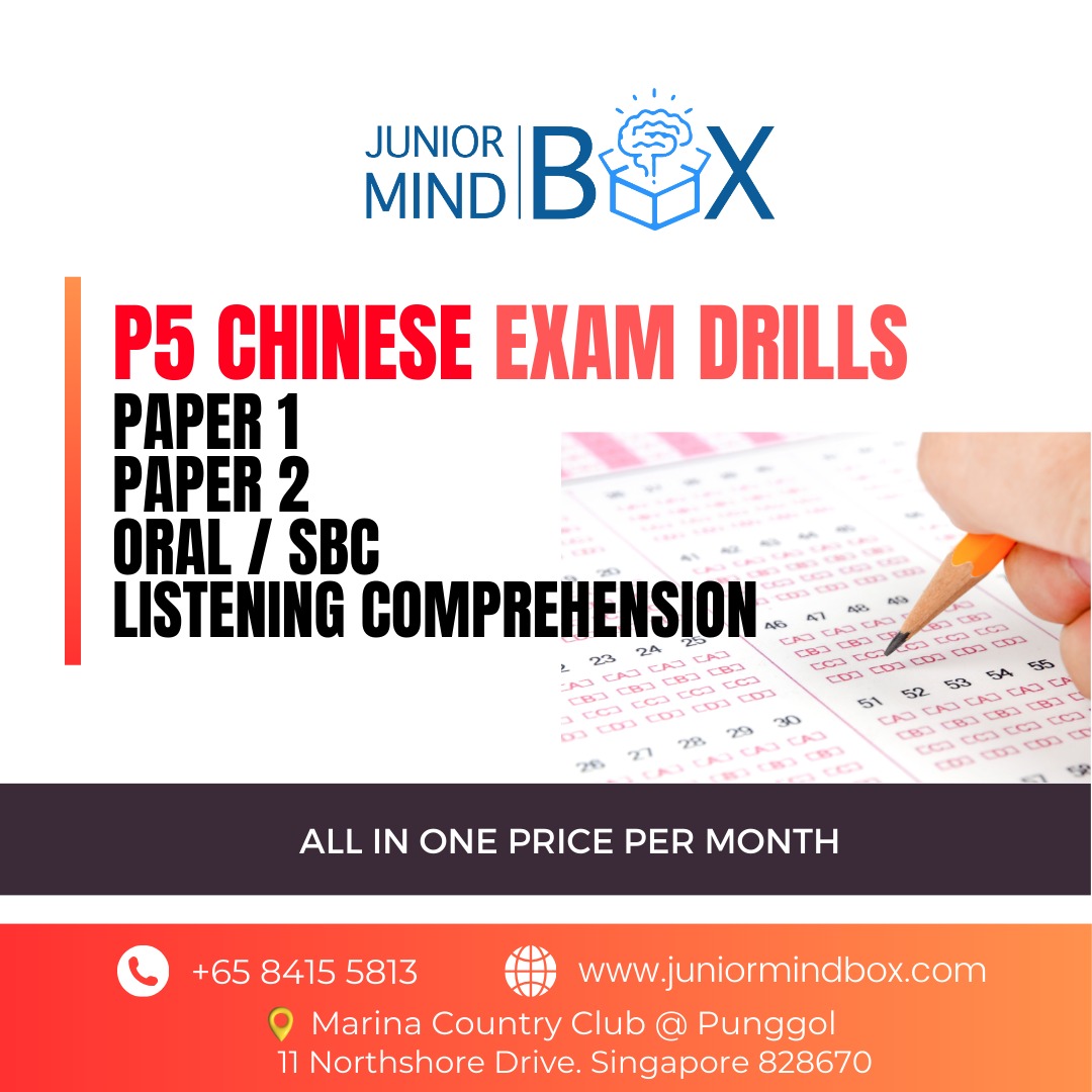 Primary 5 Chinese Exam Drills [2-3 times a week], Learning & Enrichment ...