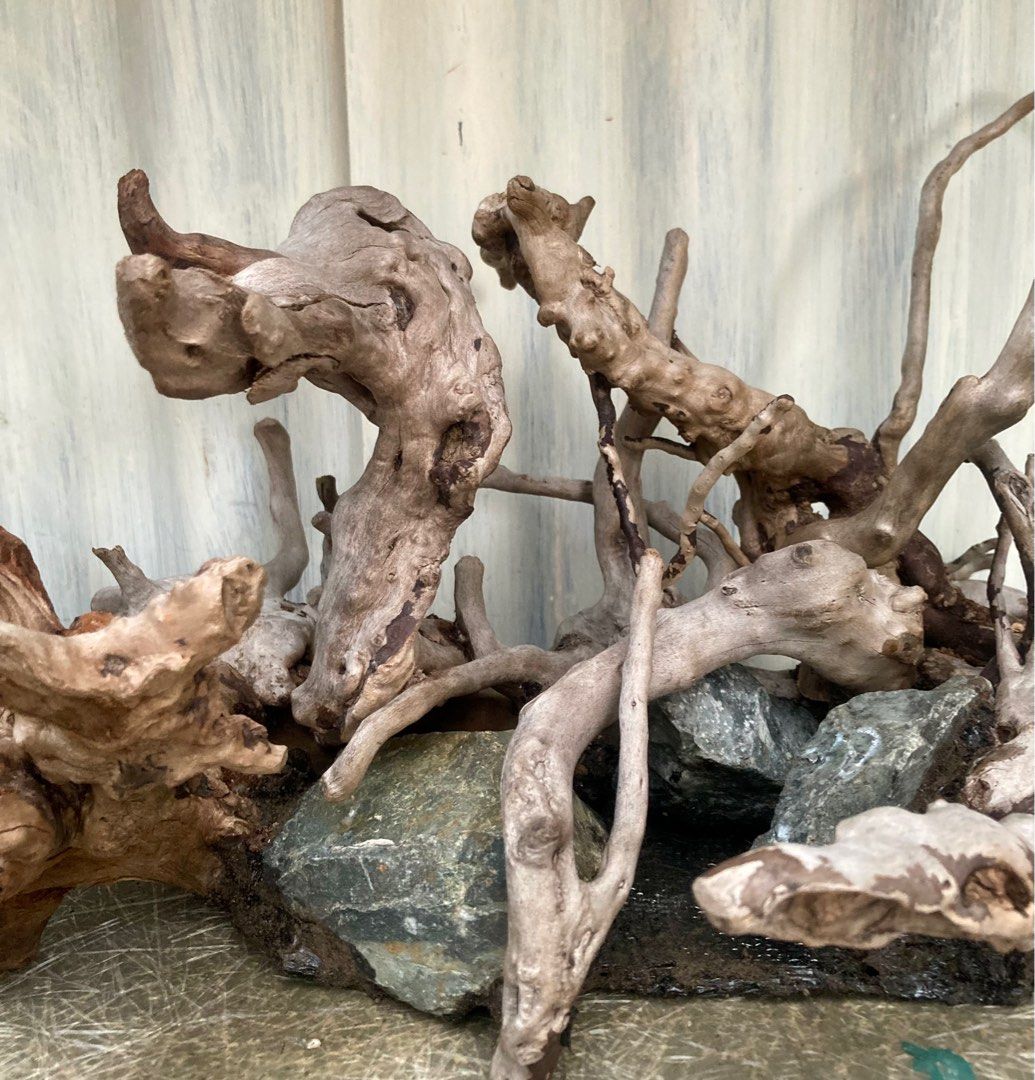 RORO - Driftwood on Rock, Pet Supplies, Homes & Other Pet Accessories ...