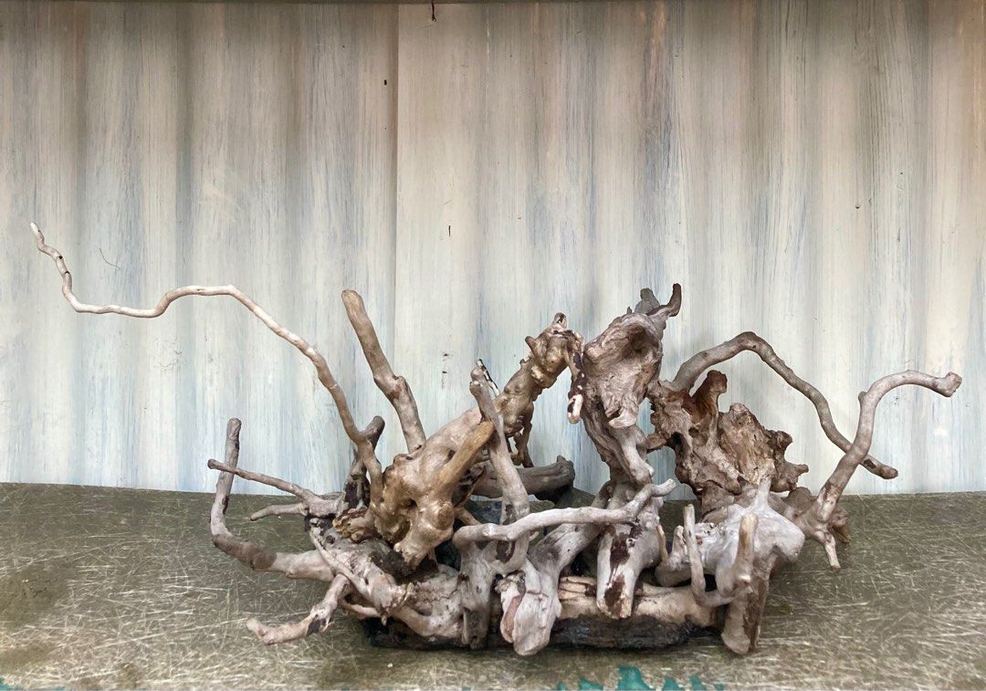 RORO - Driftwood on Rock, Pet Supplies, Homes & Other Pet Accessories ...