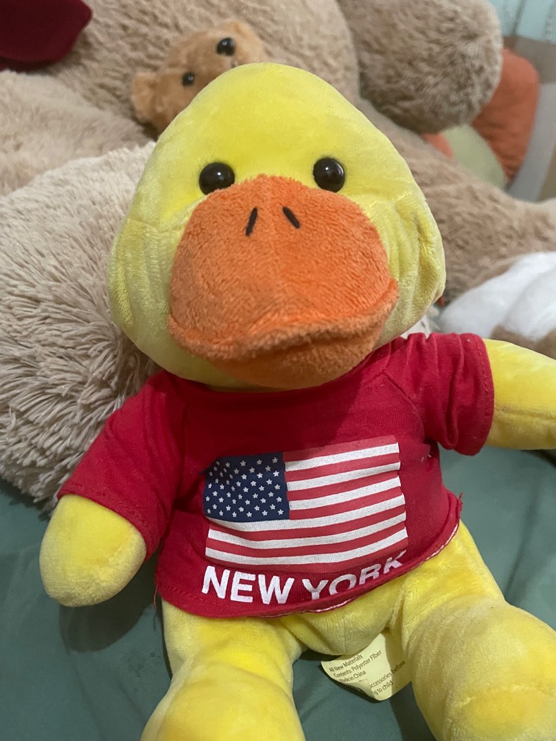 Small Duck Stuffed Toy Plushie from the US, Hobbies & Toys, Toys ...