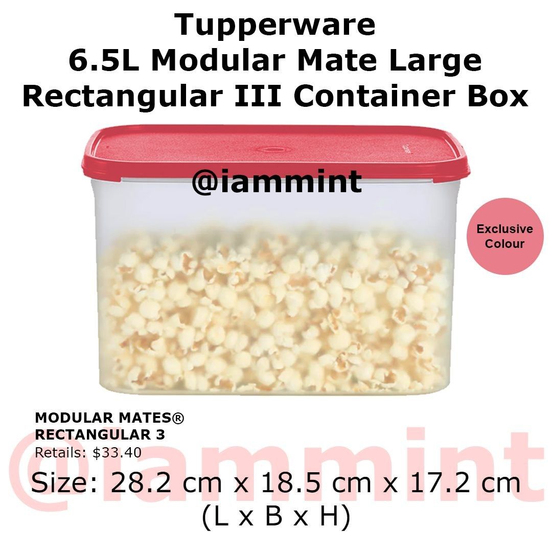 Tupperware 6.5L Modular Mate Large Rectangular III Container Box ...