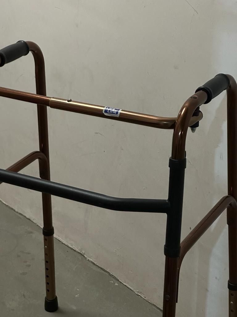 Walking Frame Lifeline, Health & Nutrition, Assistive & Rehabilatory ...