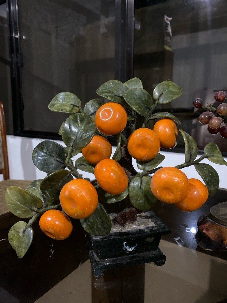 Wonderfull Jade fruit trees, Hobbies & Toys, Memorabilia & Collectibles ...