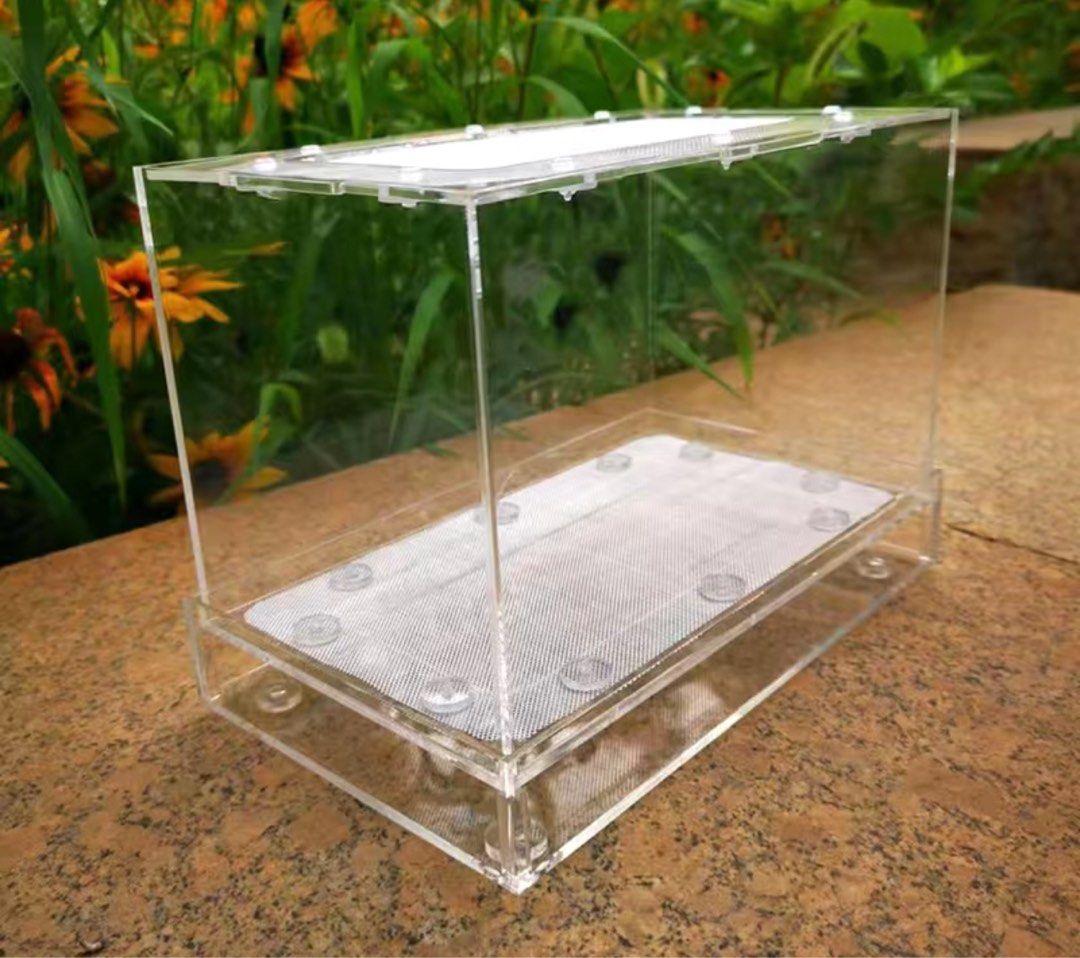 Acrylic Enclosure for Superworms Mealworms and Insects, Pet Supplies ...