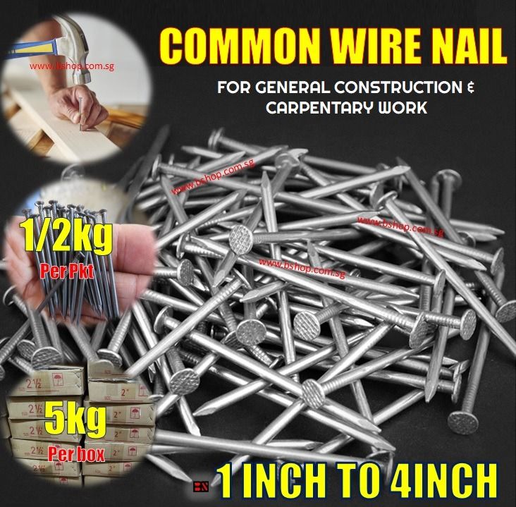 COMMON NAIL OR STEEL WIRE NAIL FOR WOOD AND CARPENTARY WOOD 1"-4" (1 ...