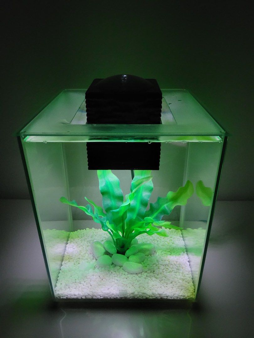 Fluval chi fish tank, Pet Supplies, Homes & Other Pet Accessories on ...