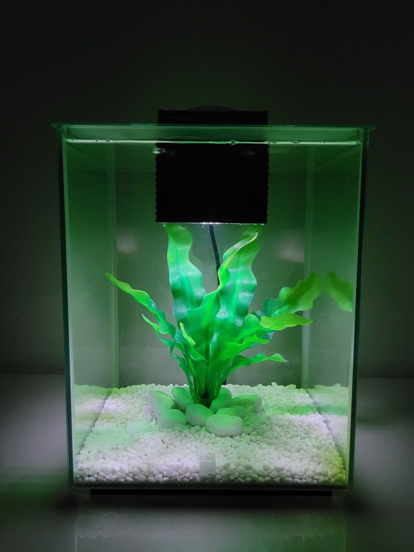 Fluval chi fish tank, Pet Supplies, Homes & Other Pet Accessories on ...