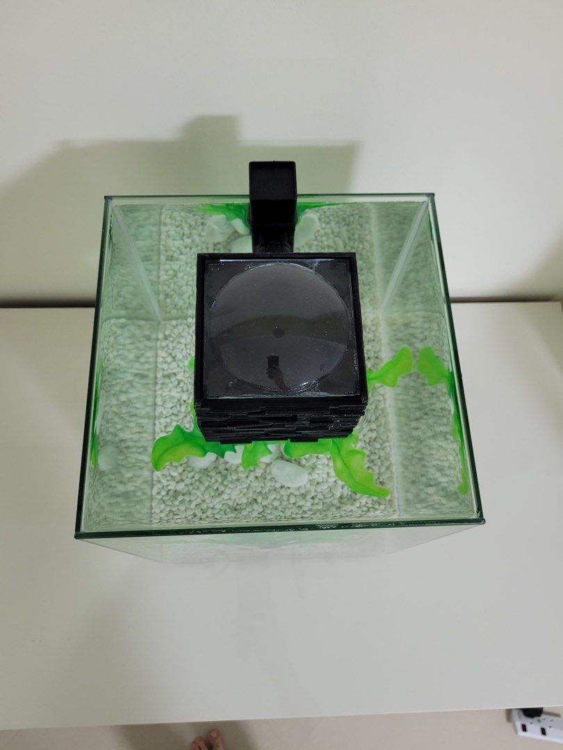 Fluval chi fish tank, Pet Supplies, Homes & Other Pet Accessories on ...