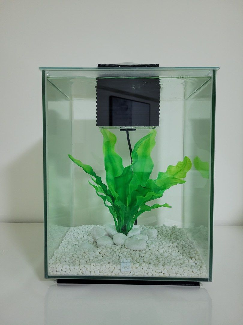 Fluval chi fish tank, Pet Supplies, Homes & Other Pet Accessories on ...