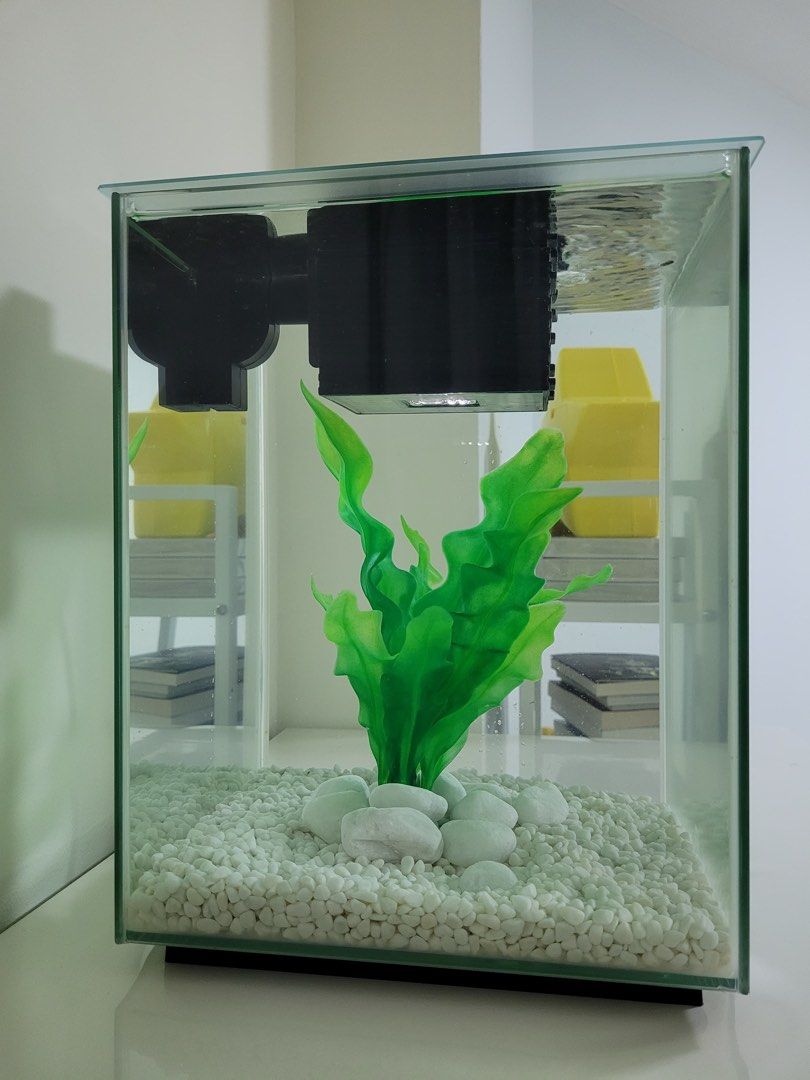 Fluval chi fish tank, Pet Supplies, Homes & Other Pet Accessories on ...