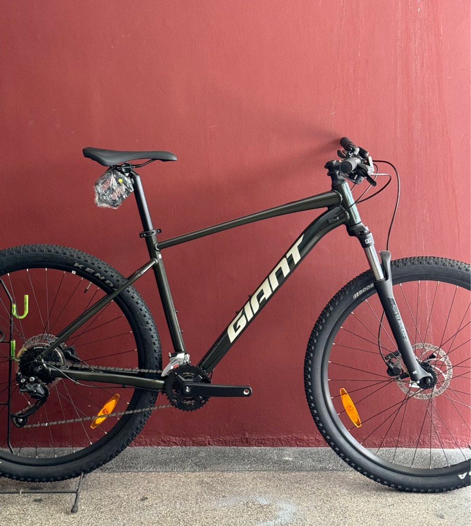 Giant Talon 2 - Large (Phantom Green) 29er, Sports Equipment, Bicycles ...