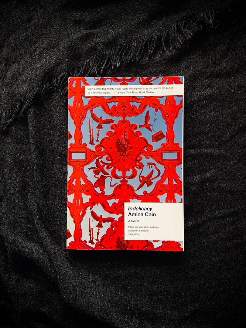 Indelicacy • A Novel By Amina Cain, Hobbies & Toys, Books & Magazines ...