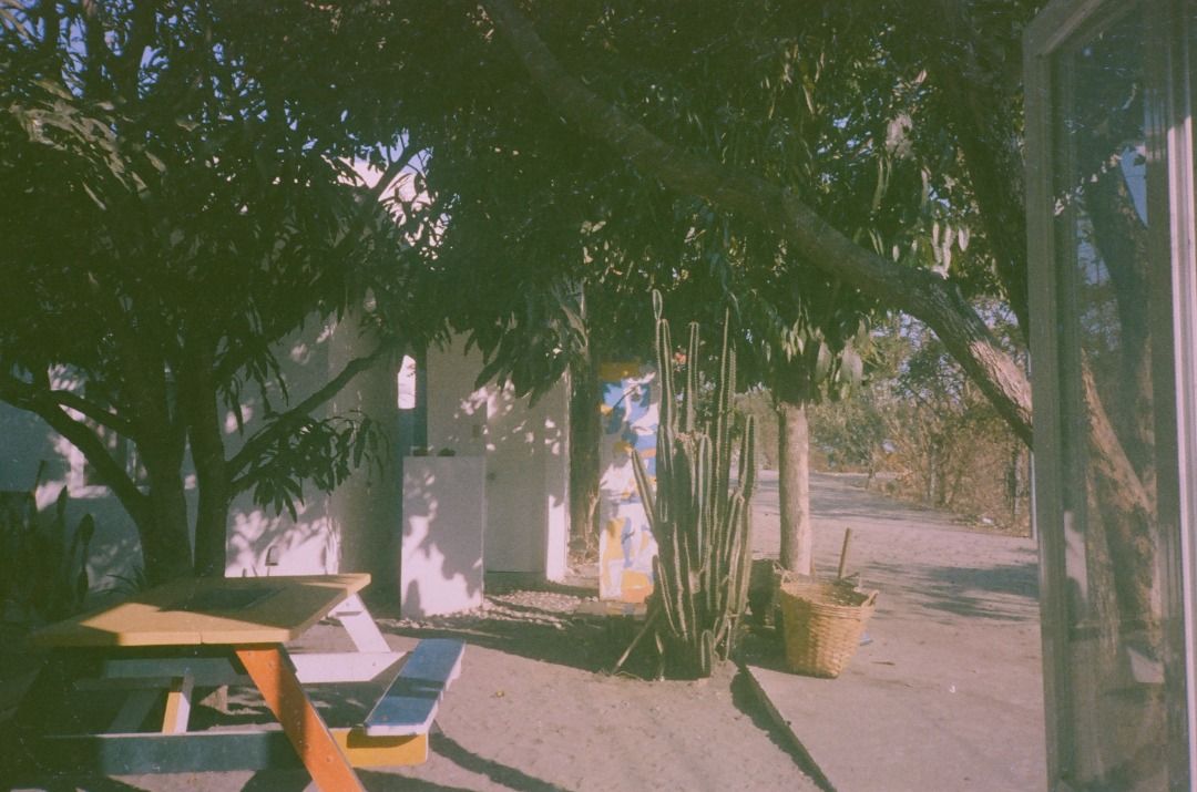 Olympus XA2 with A11 Flash (Film camera/Point and shoot/35mm film ...