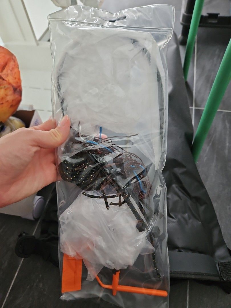 Optimist Daggerboard, Tiller, and other Accessories, Sports Equipment ...