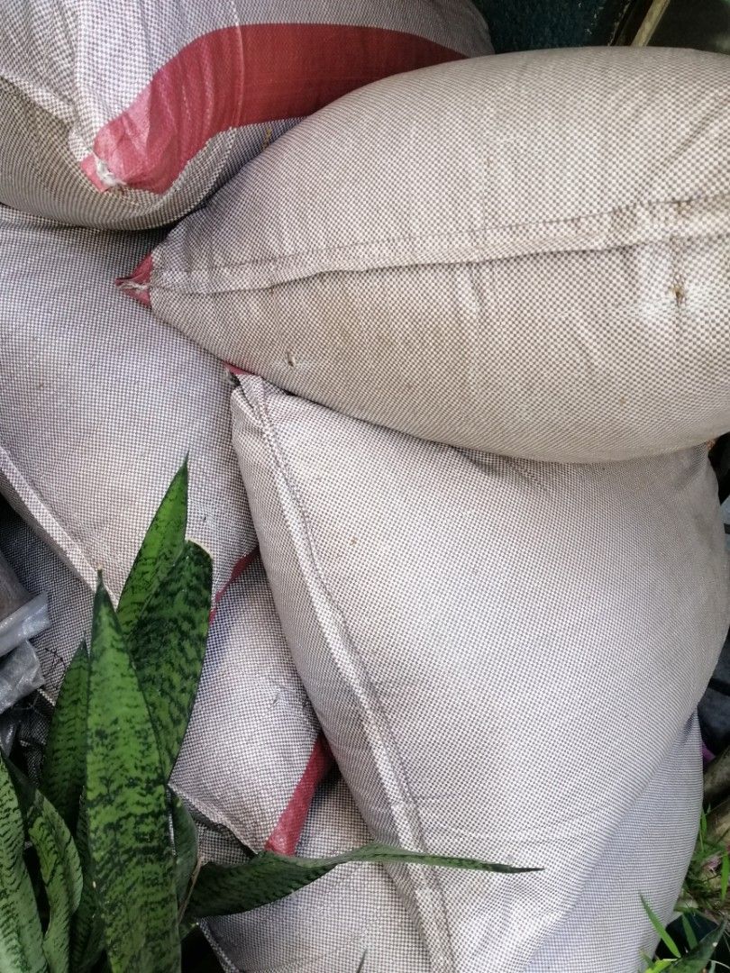 rice hull or ipa ng palay, Furniture & Home Living, Gardening ...