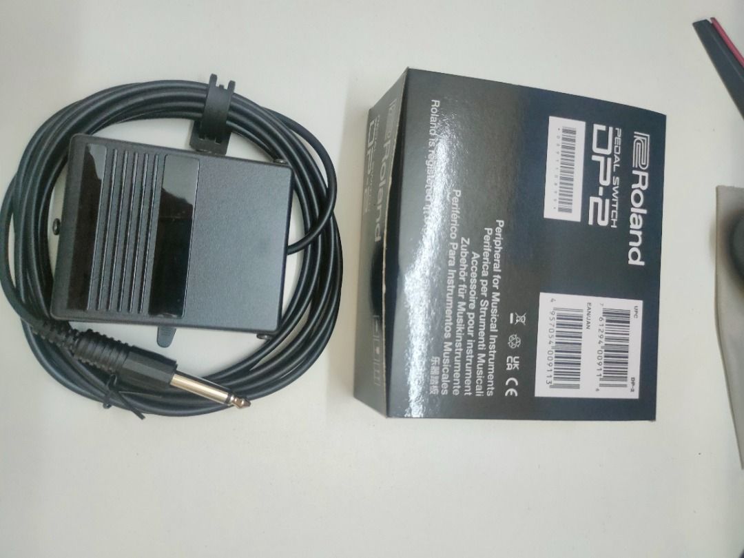 Roland DP-2 Brand new, Hobbies & Toys, Music & Media, Music Accessories ...