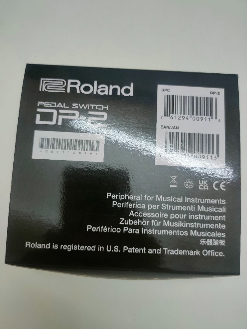 Roland DP-2 Brand new, Hobbies & Toys, Music & Media, Music Accessories ...