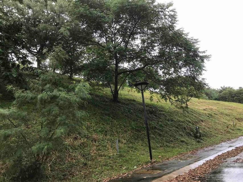 Vacant lot at a high end classy subdivision The Panoramas, Ayala ...
