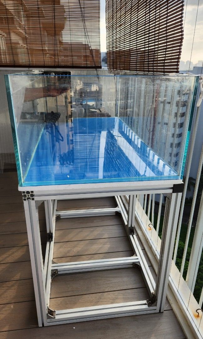 4 feet crystal glass fish tank/ aquarium, Pet Supplies, Homes & Other ...