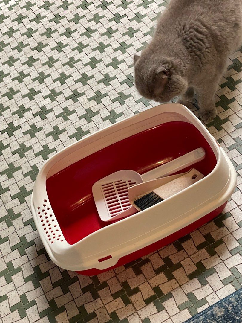 Cat sand box with accessories, Pet Supplies, Homes & Other Pet ...