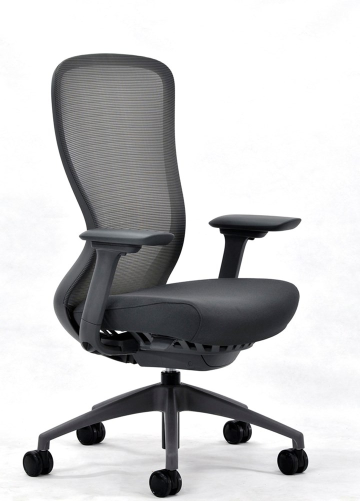 Ergonomic Office Chair with Adjustable Arms Sold by Zenith, Furniture ...
