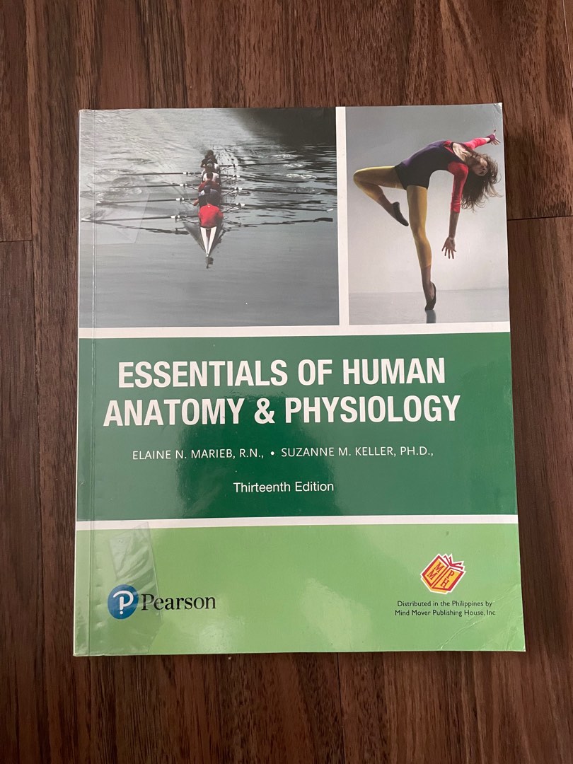Essentials of Human Anatomy & Physiology (13th Edition), Hobbies & Toys ...