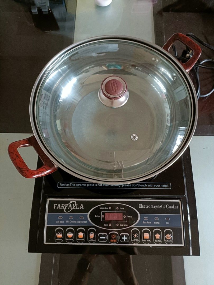 Farfalla electromagnetic cooker with pot, steamer and cover, TV & Home ...