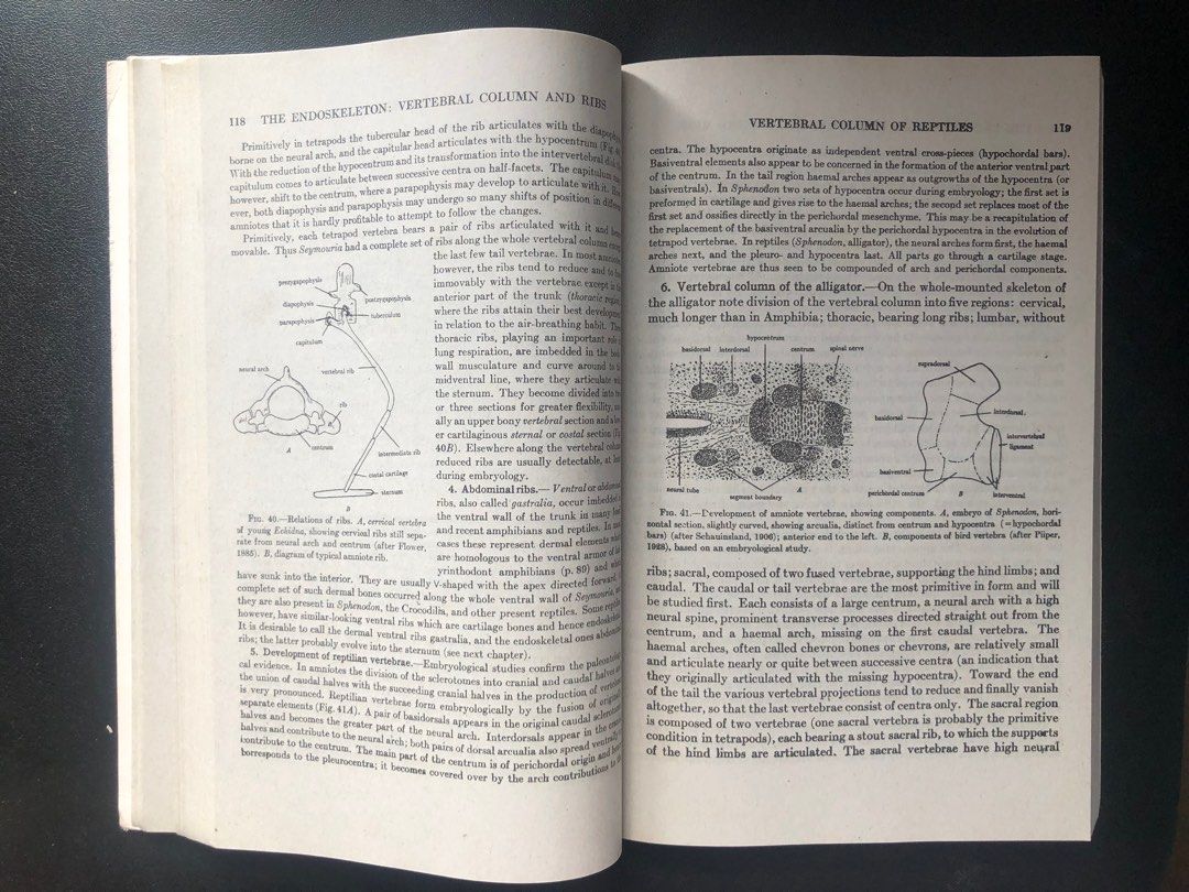 Hyman Comparative Vertebrate Anatomy, Hobbies & Toys, Books & Magazines ...