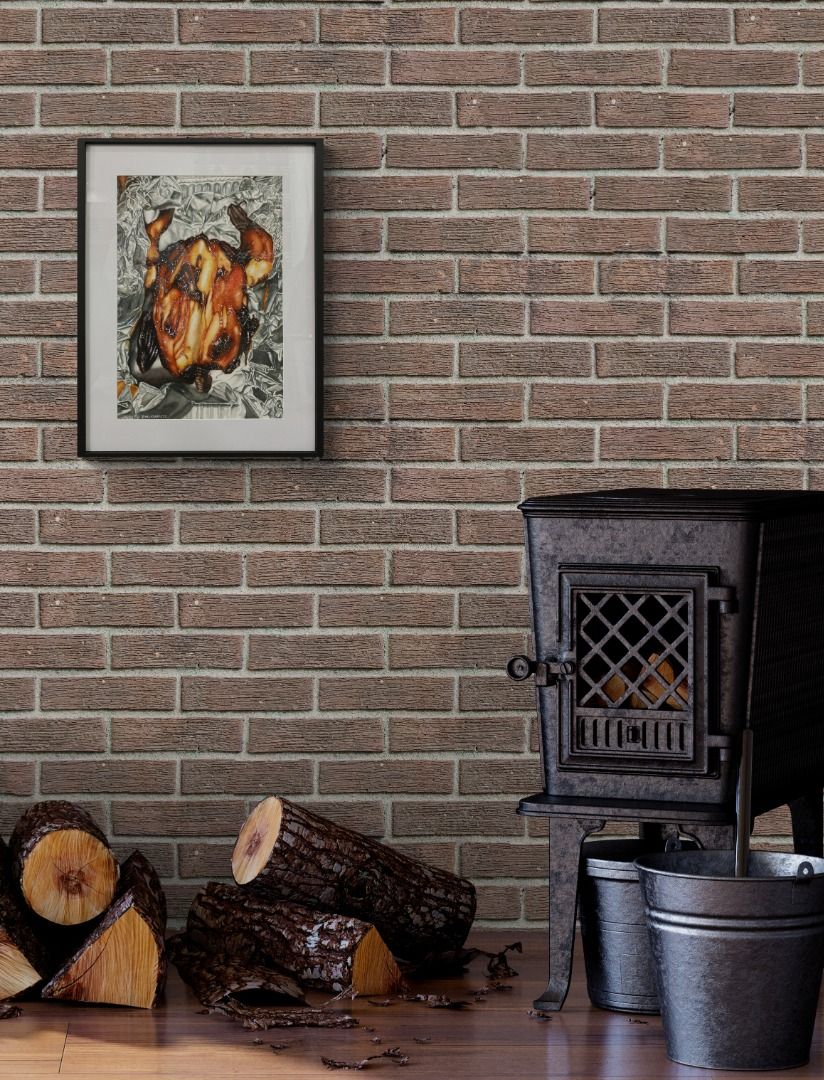 Litsong Manok - Rodolfo Salazar, Hobbies & Toys, Stationary & Craft ...